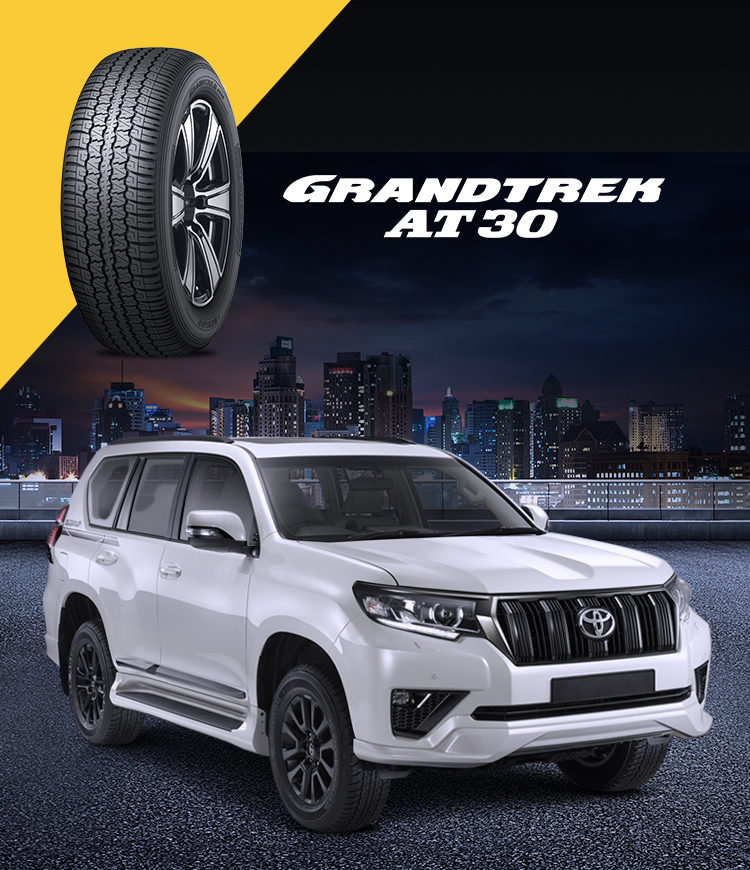 Buy All-Season Tires Online | Brand Tyres for Cars, SUVs, Buses ...